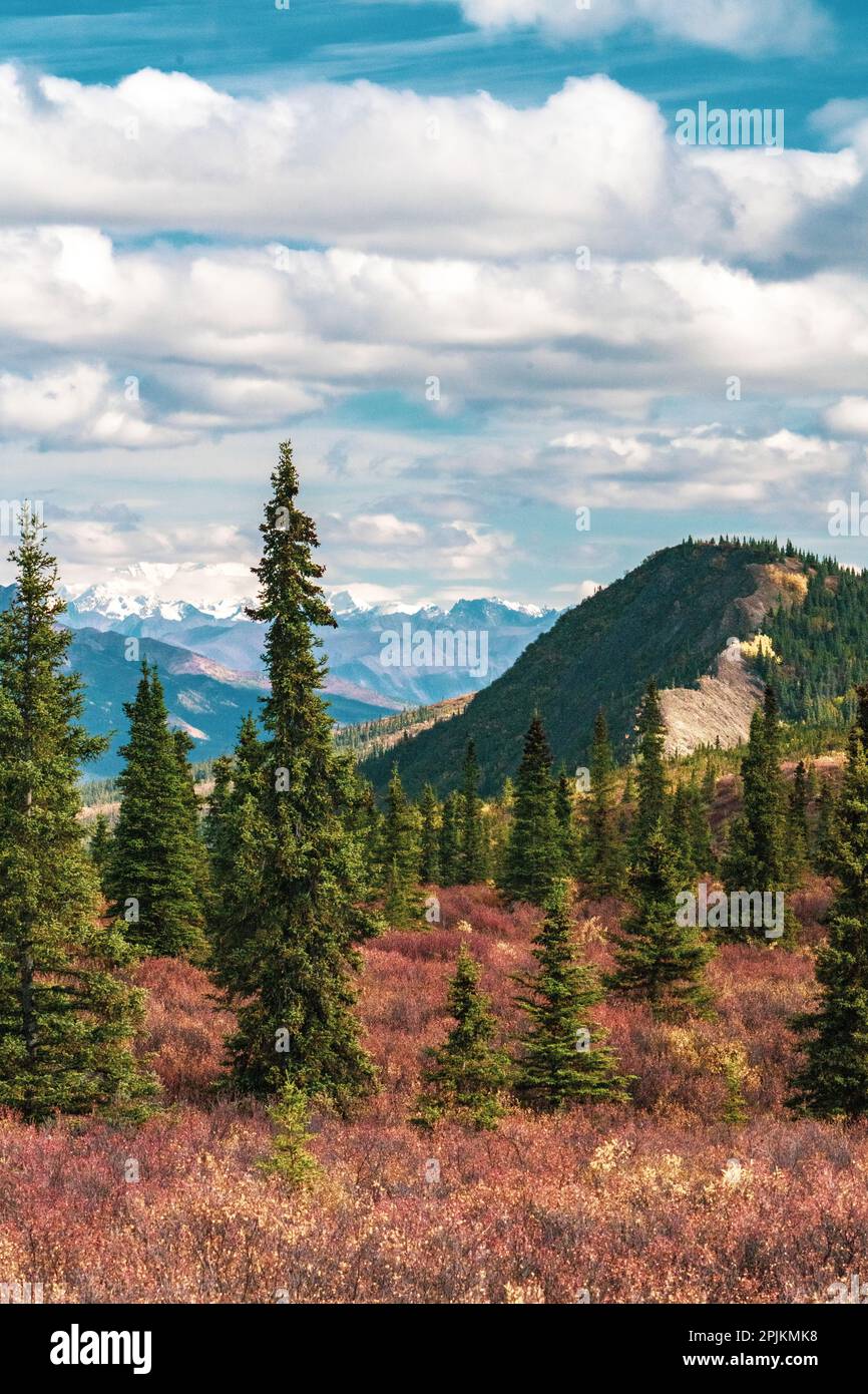 Landscape fall forest mountain hi-res stock photography and images - Alamy