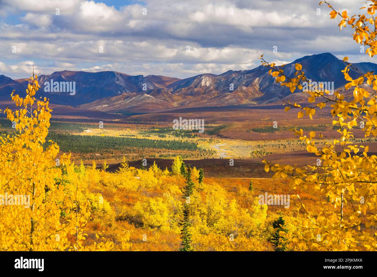 Alaska, Denali National Park. Golden landscape of valley and mountains ...
