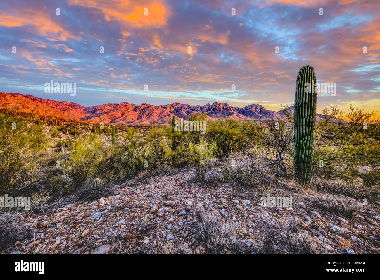 USA, Arizona, Catalina State Park. Sunset landscape with Catalina ...