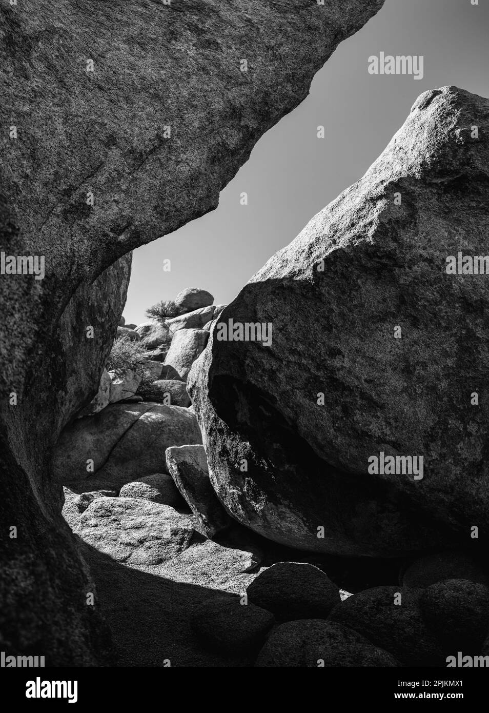 Granite Tree National Park, California Stock Photo - Alamy