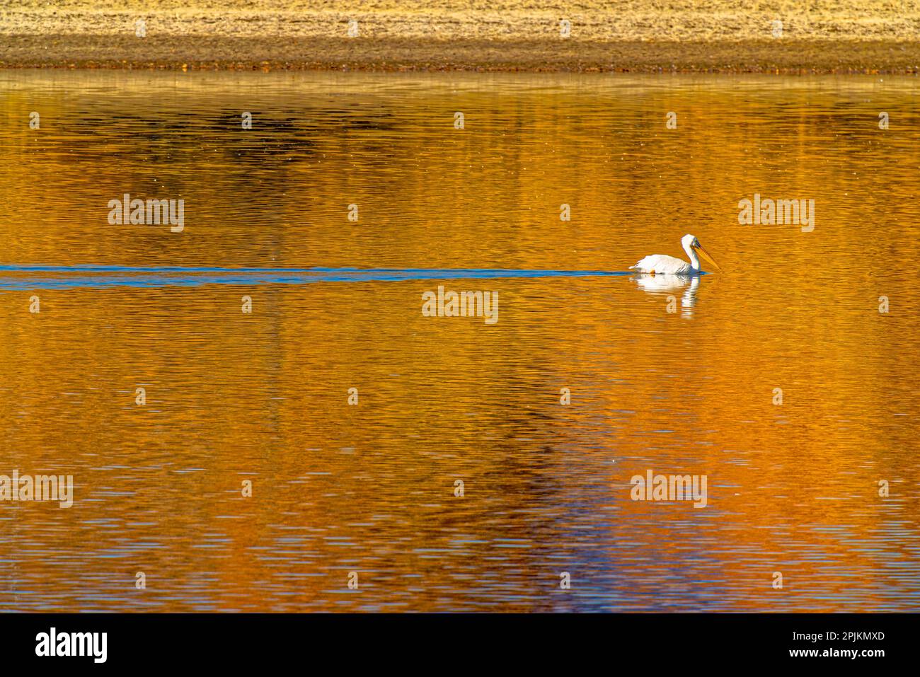 Donath lake hi-res stock photography and images - Alamy