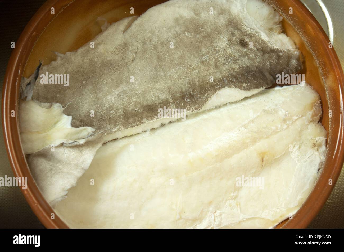 salted cod fillets immersed in soak in water Stock Photo - Alamy