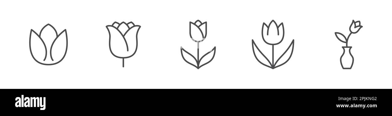 Tulip flat line icon set. Vector outline illustration of flower blossom ...