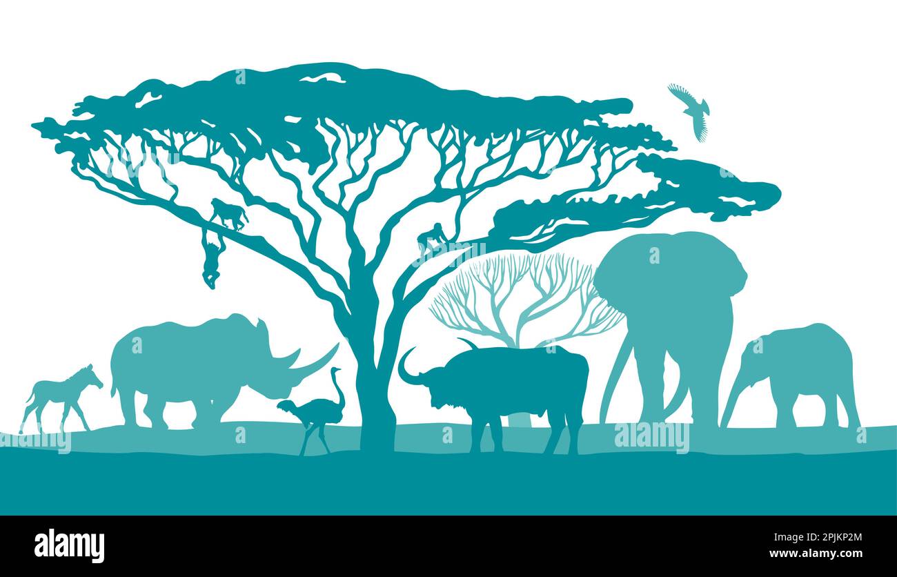 Namibia africa giraffe Stock Vector Images - Alamy