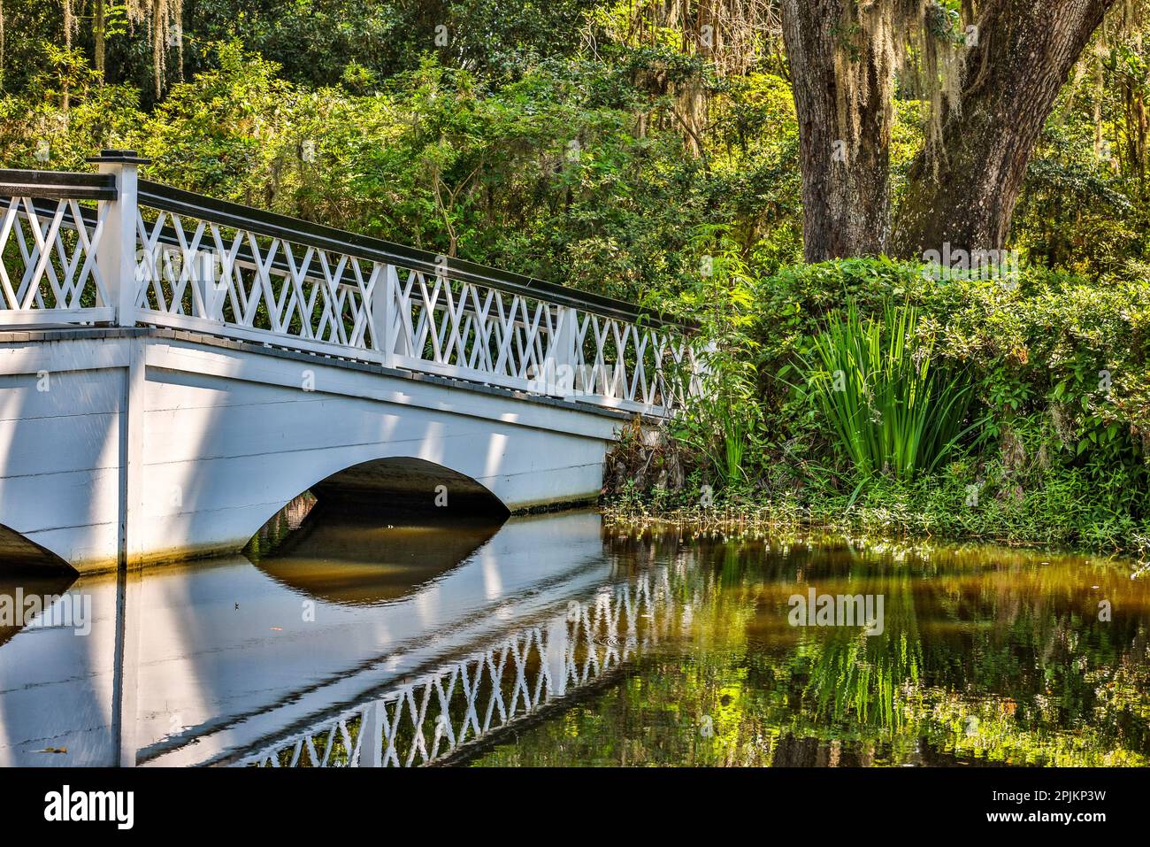 USA, South Carolina, Charleston. Magnolia Plantation Stock Photo - Alamy