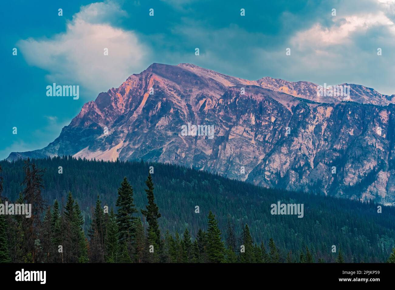Canada, Alberta, Jasper National Park. Sunset on mountain and forest ...