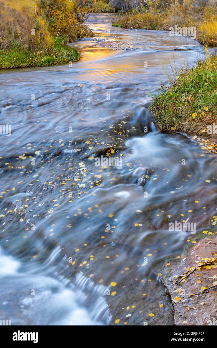 USA, Utah, Calf Creek Recreation Area in autumn Stock Photo - Alamy