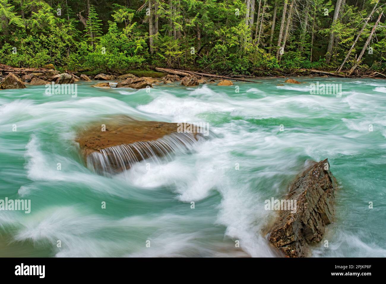 Canada, British Columbia, Mount Robson Provincial Park. Robson River ...