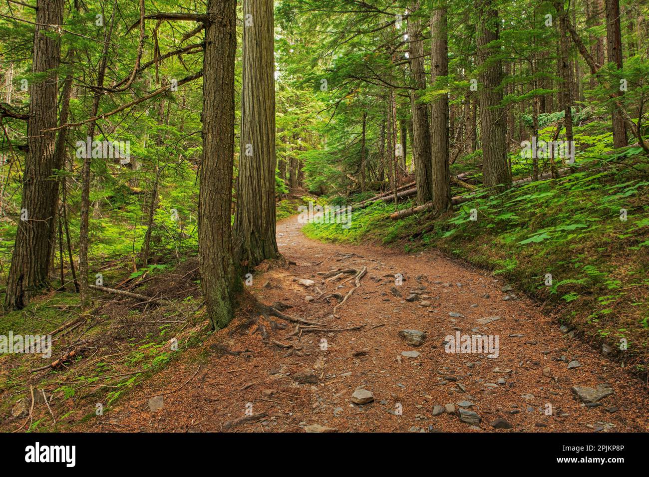 Kenny park hi-res stock photography and images - Alamy
