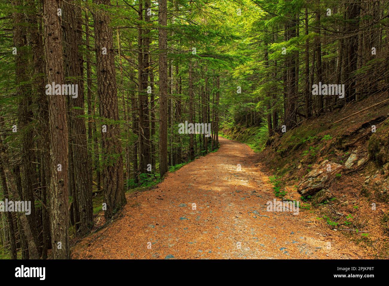 Kenny lake trail hi-res stock photography and images - Alamy