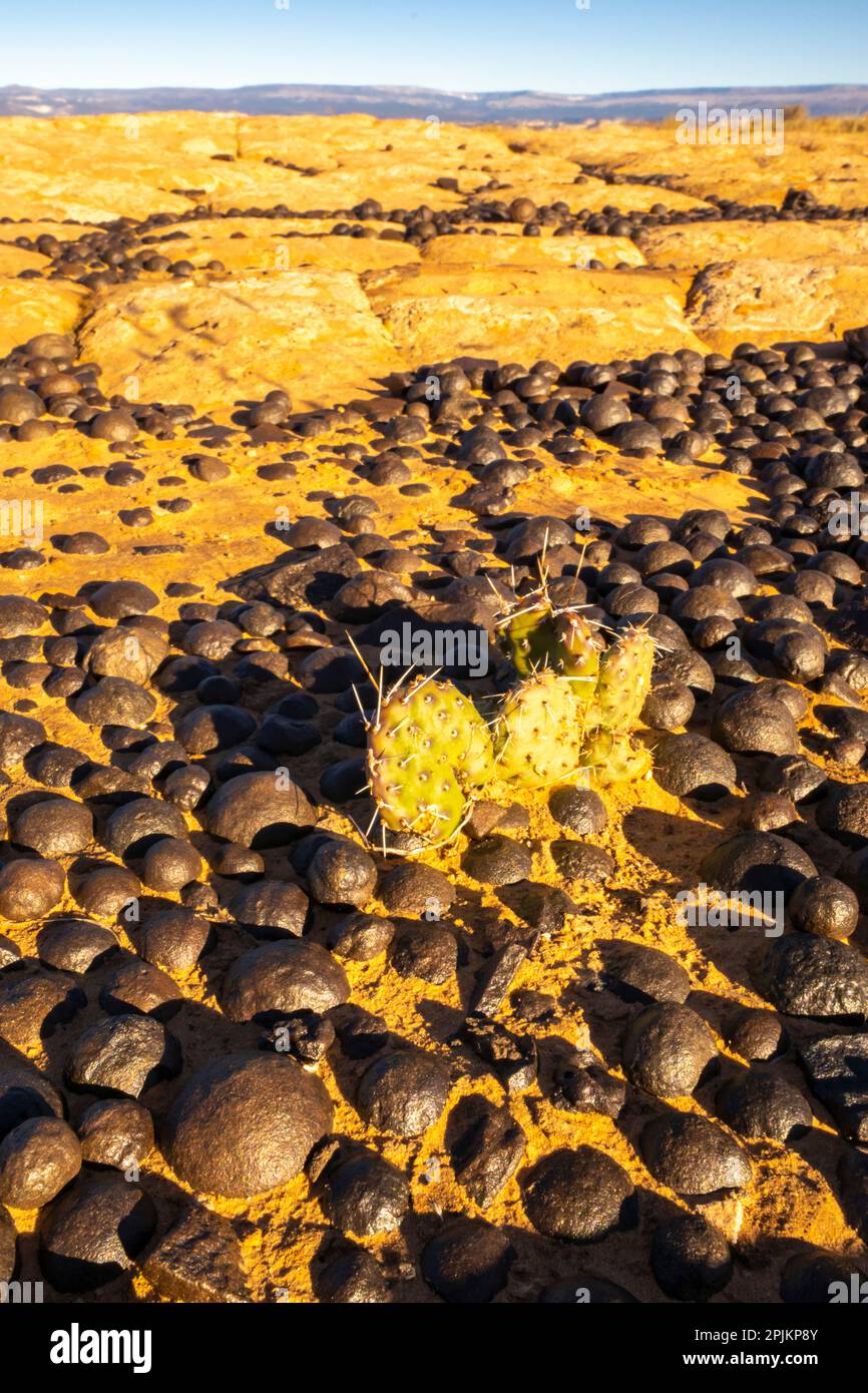 USA, Utah, Grand Staircase Escalante National Monument. Moqui marbles ...