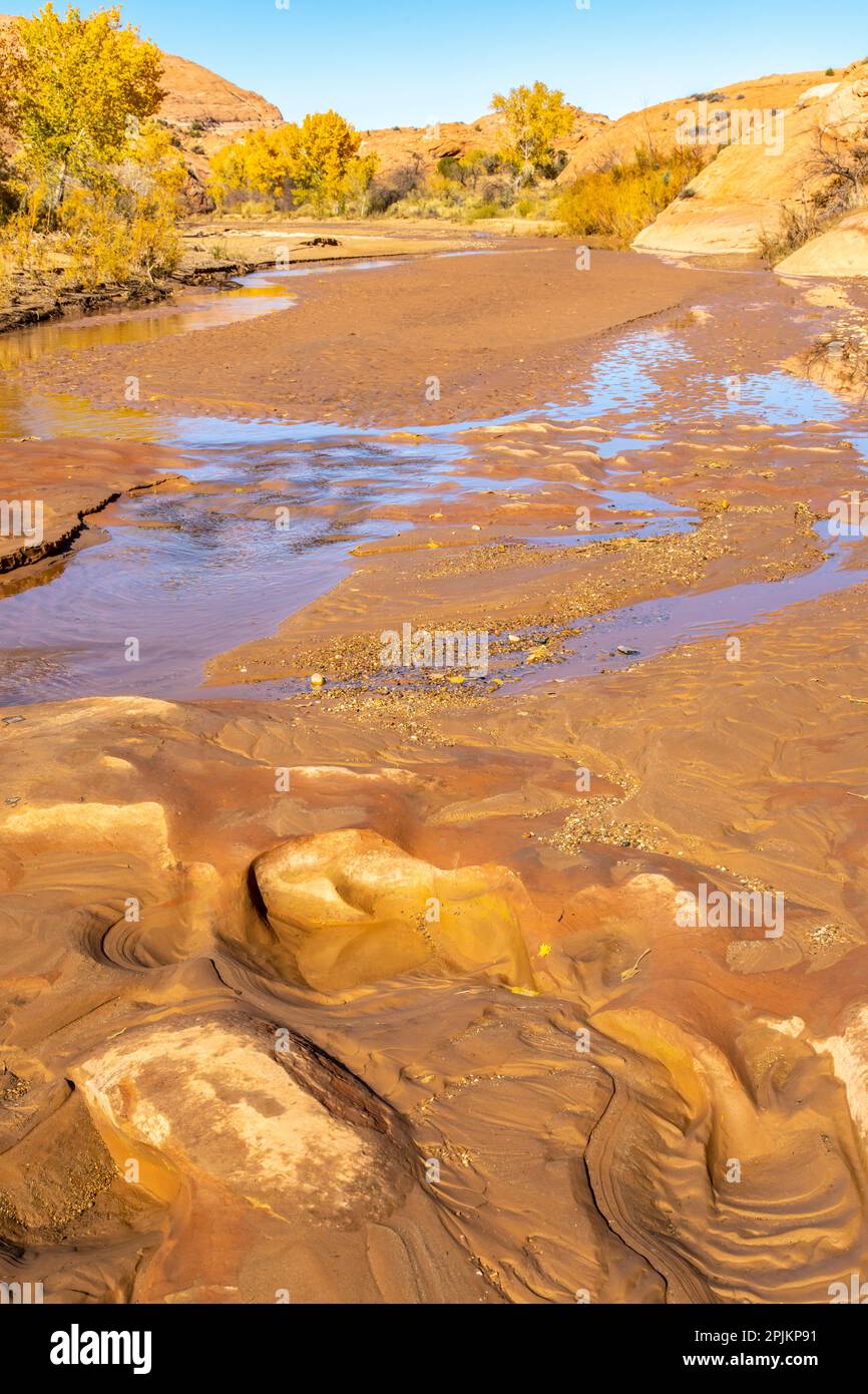 USA, Utah, Grand Staircase Escalante National Monument. Harris Wash and ...