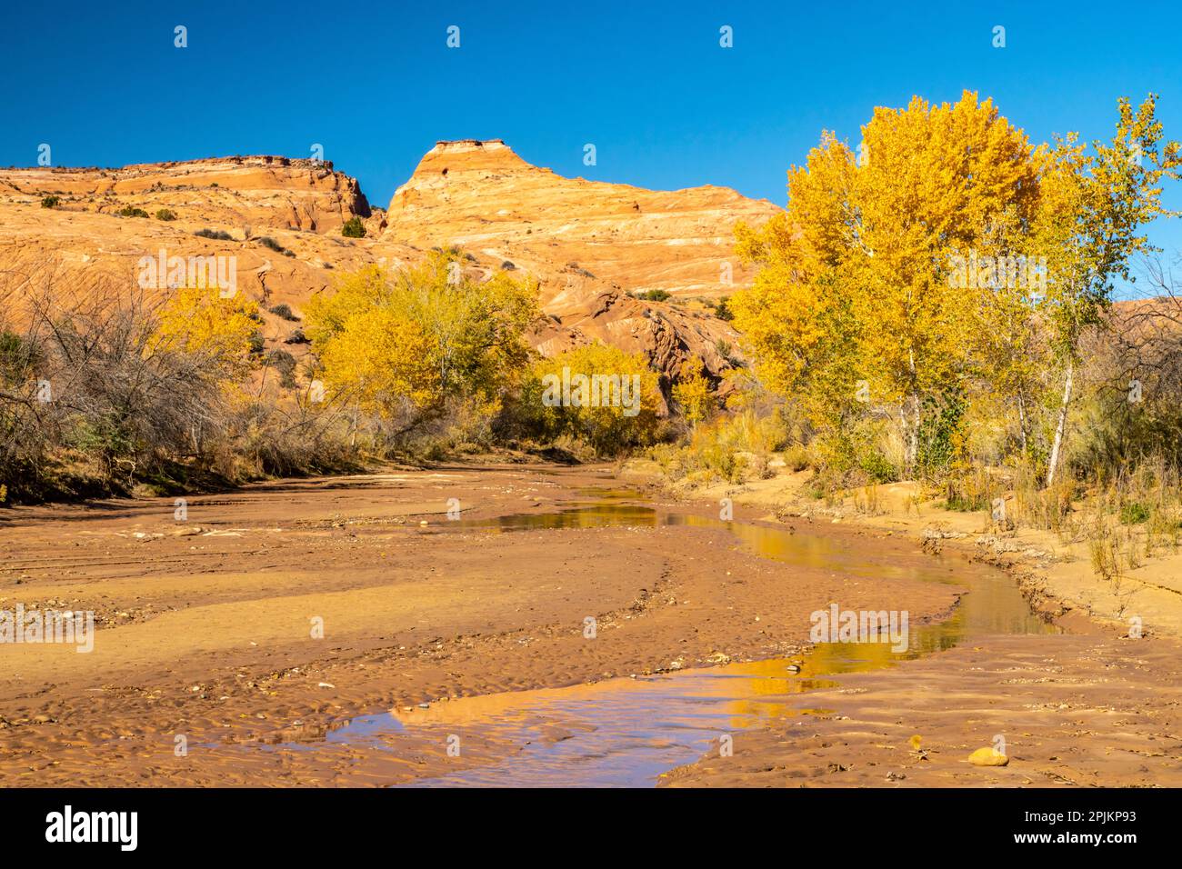 USA, Utah, Grand Staircase Escalante National Monument. Harris Wash and ...