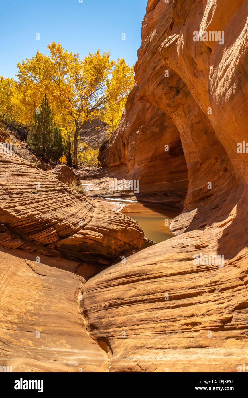 USA, Utah, Grand Staircase Escalante National Monument. Harris Wash and ...