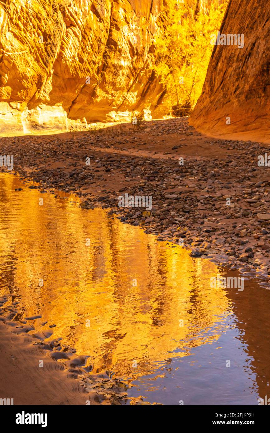USA, Utah, Grand Staircase Escalante National Monument. Harris Wash ...