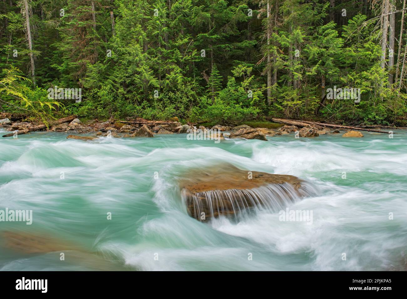 Canada, British Columbia, Mount Robson Provincial Park. Robson River ...