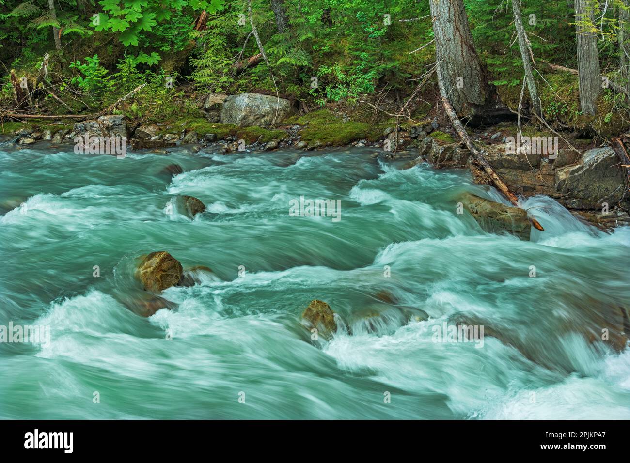 Canada, British Columbia, Mount Robson Provincial Park. Robson River ...