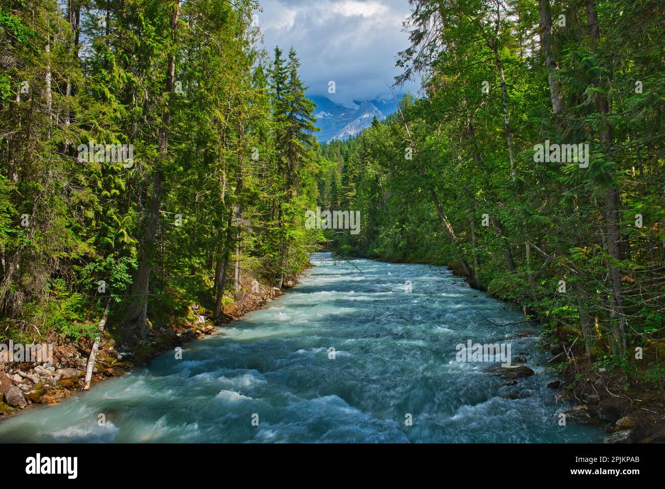 Canada, British Columbia, Mount Robson Provincial Park. Robson River ...