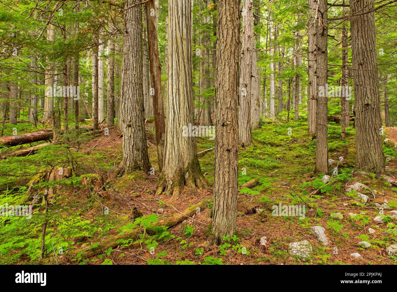 Kenny lake trail hi-res stock photography and images - Alamy