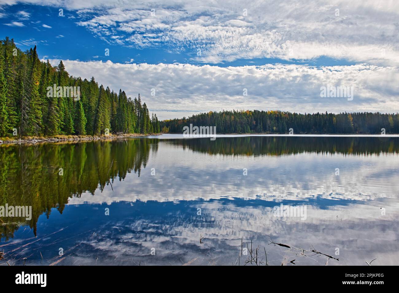 Canada, Manitoba. Prieston Lake Duck Mountain Provincial Park Stock ...