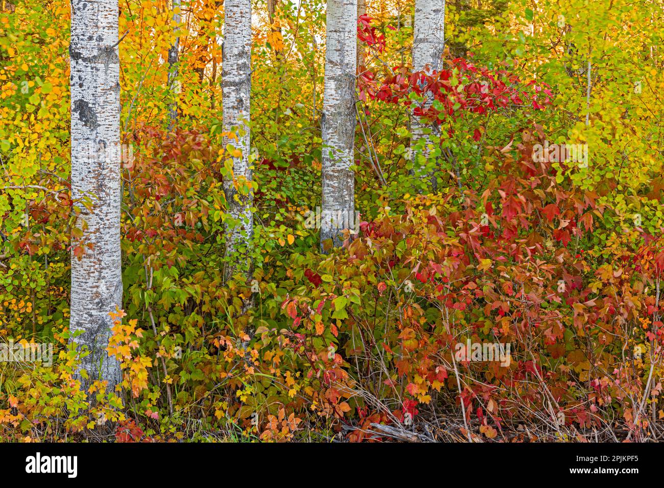 Grindstone provincial park hi-res stock photography and images - Alamy