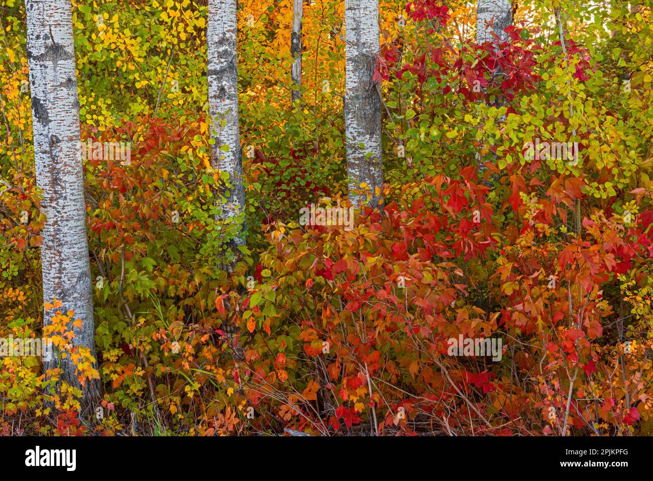 Grindstone provincial park hi-res stock photography and images - Alamy