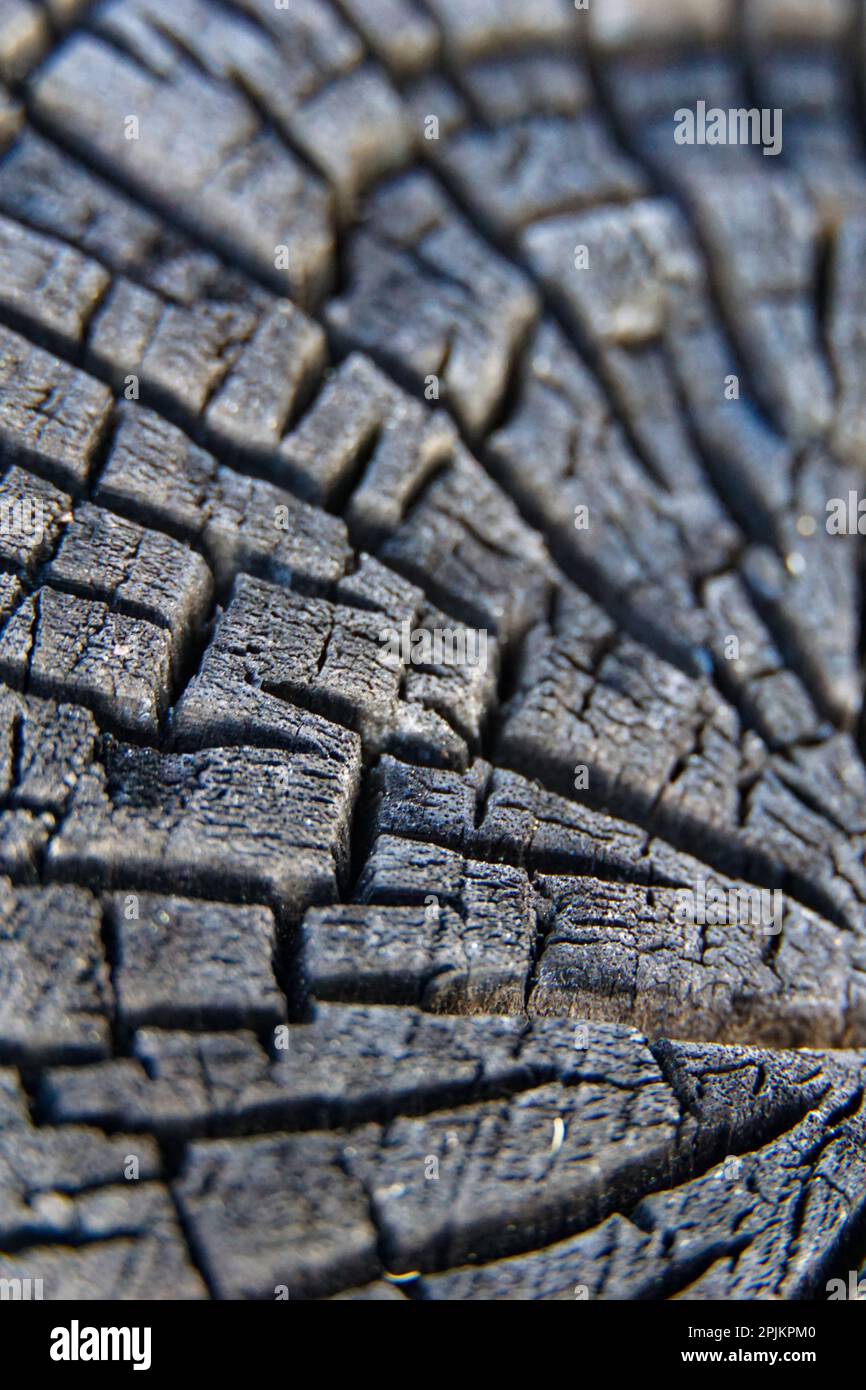 burnt tree bark background texture macro Stock Photo - Alamy