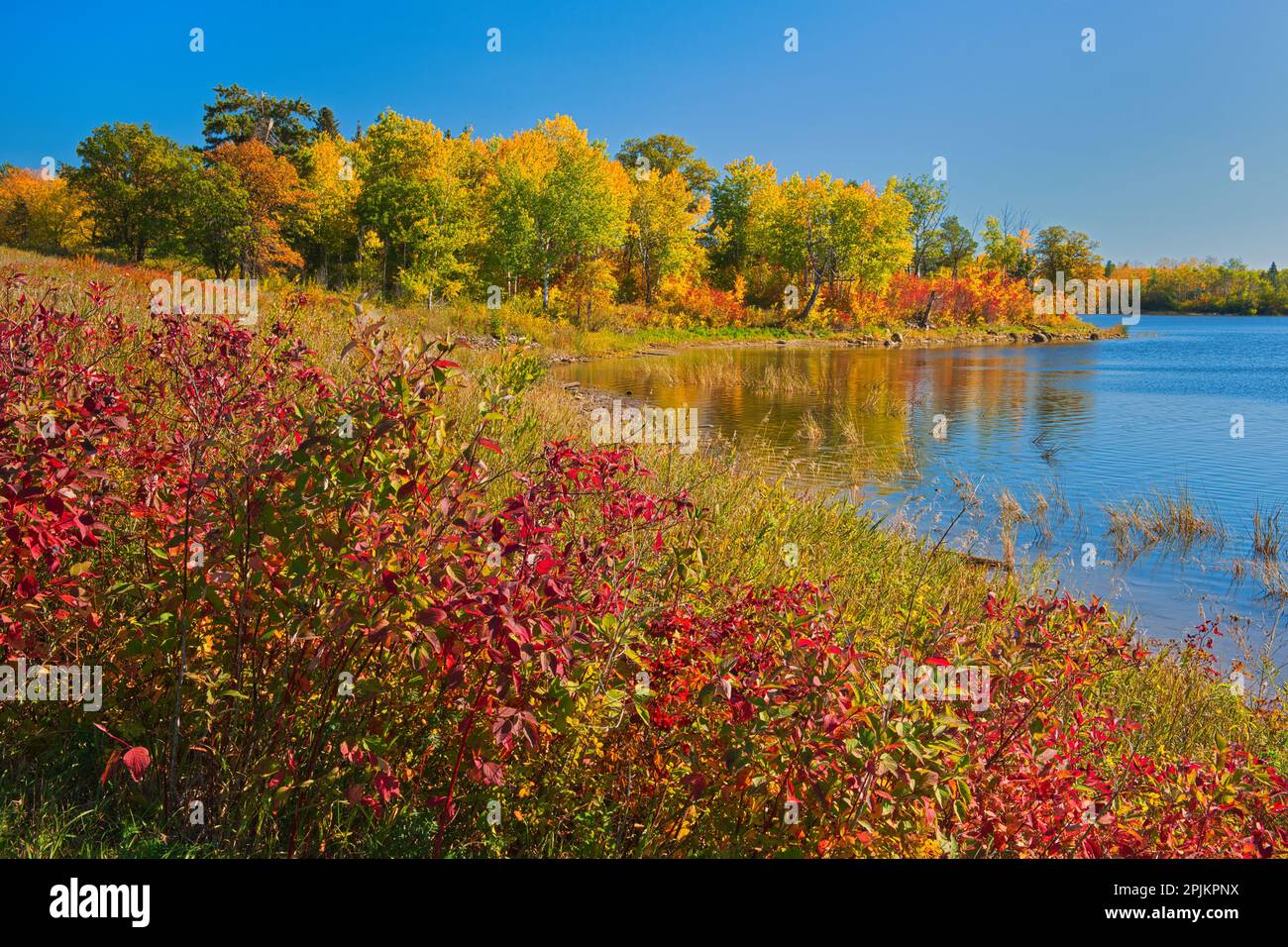 Manigotagan river hi-res stock photography and images - Alamy