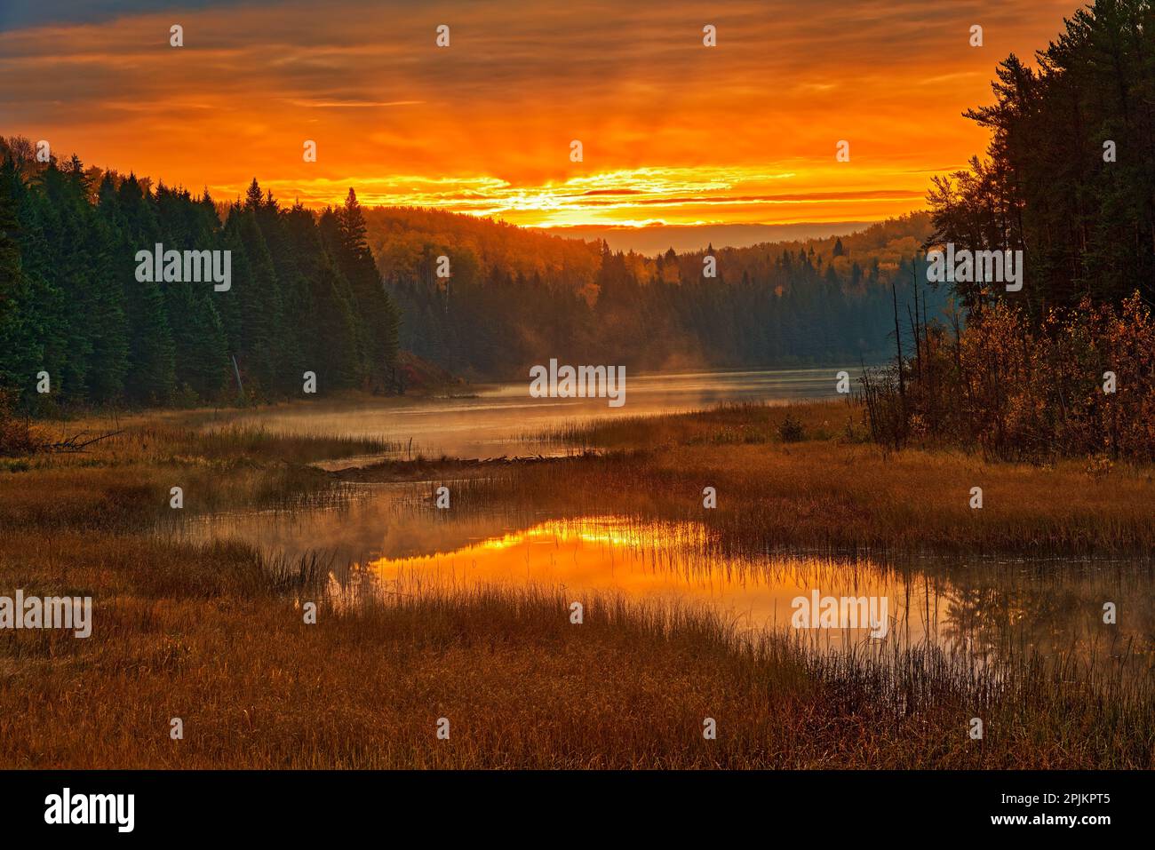 Canada, Manitoba, Duck Mountain Provincial Park. Inlet to Cache Lake at ...
