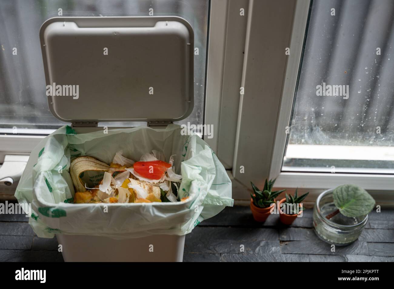 Bin for compostable food waste on kitchen windowsill Stock Photo - Alamy