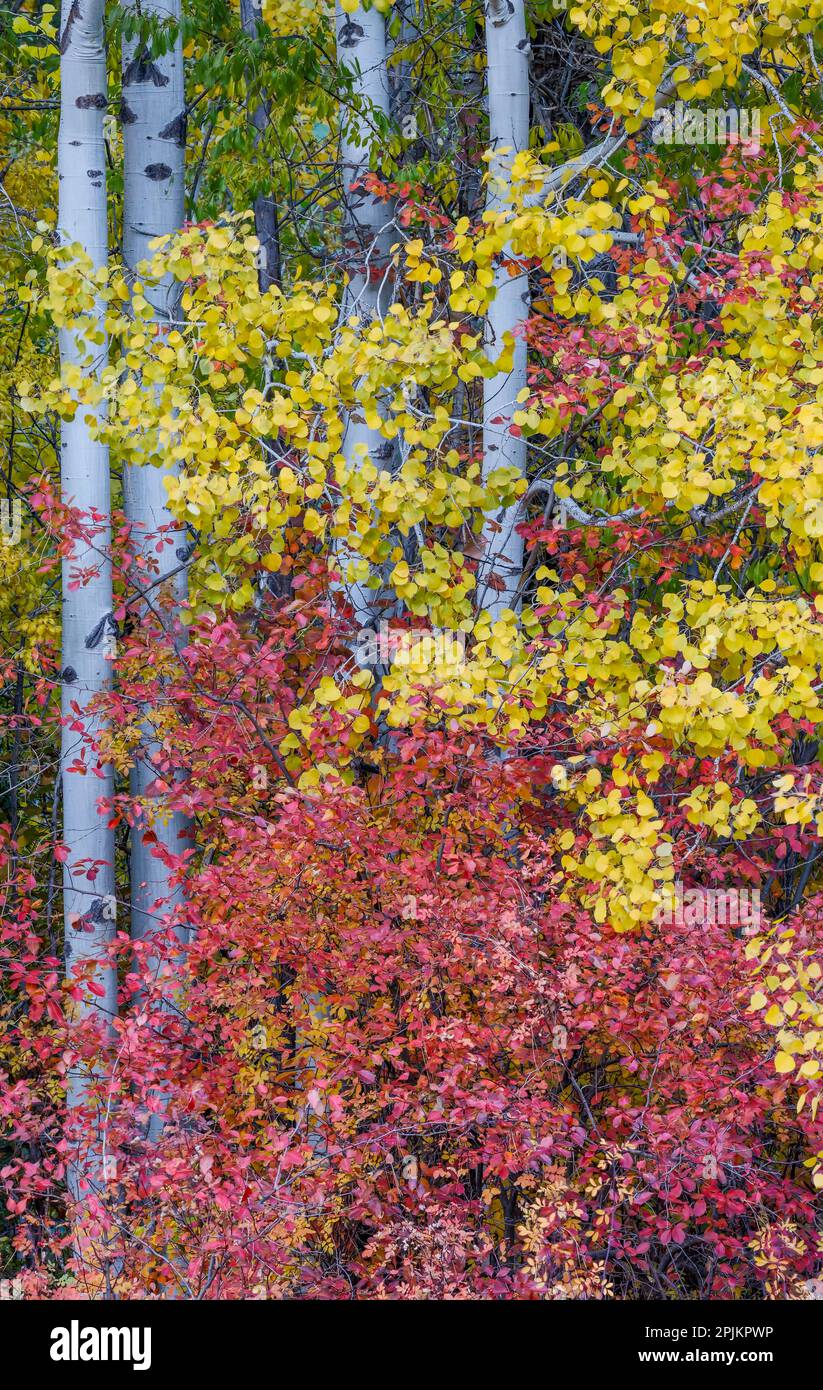 Winthrop autumn hi-res stock photography and images - Alamy