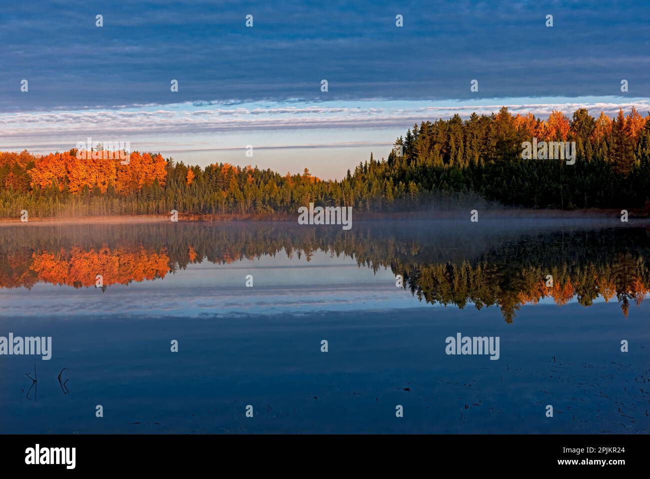 Canada, Manitoba, Duck Mountain Provincial Park. Morning fog on lake in ...