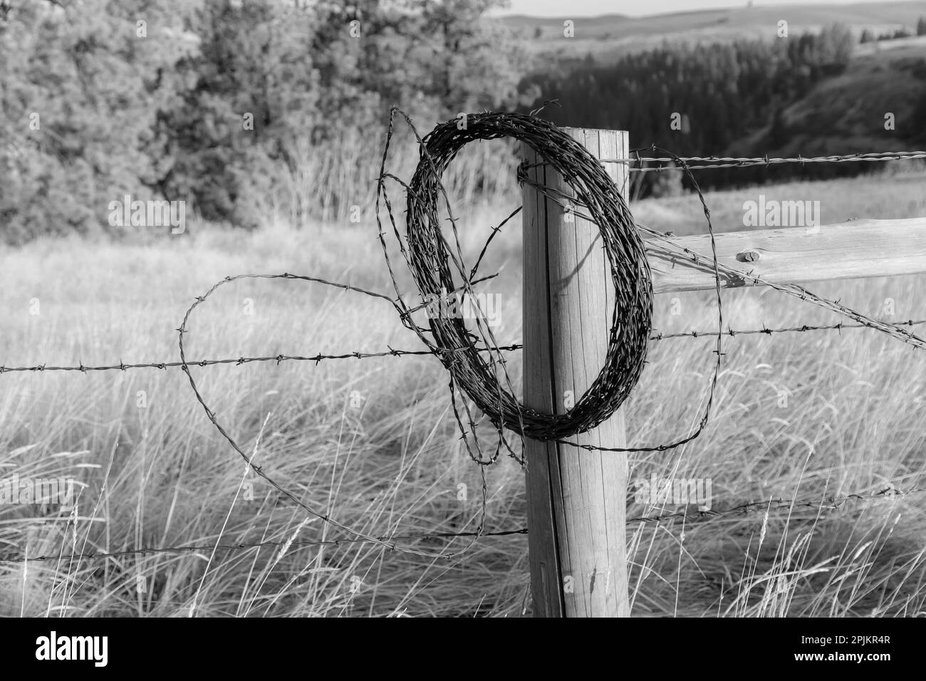 USA, Washington State, Whitman County, Palouse. Barbed wire fence Posts ...