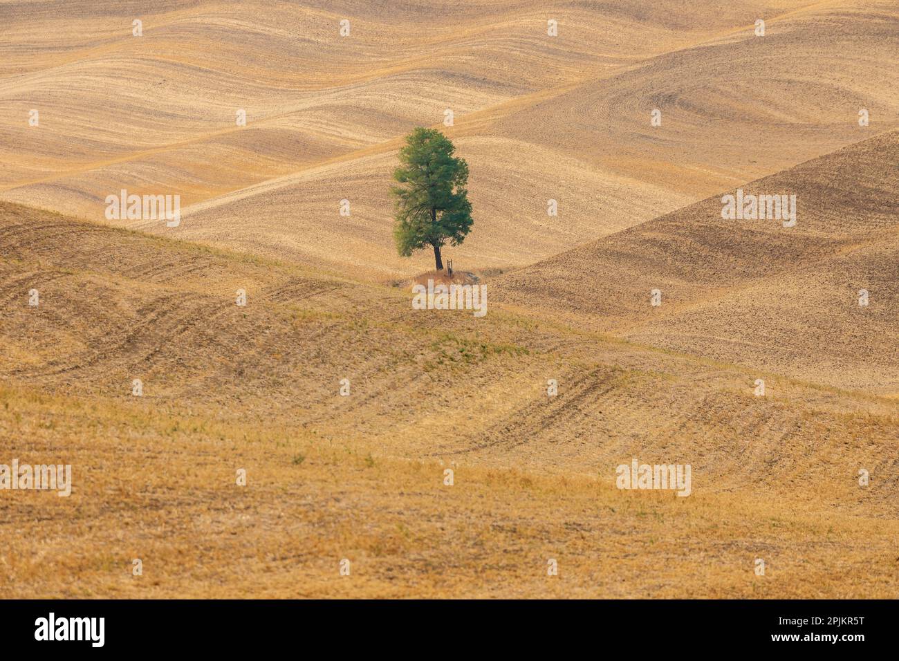 Agriculture rolling field farming hi-res stock photography and images ...