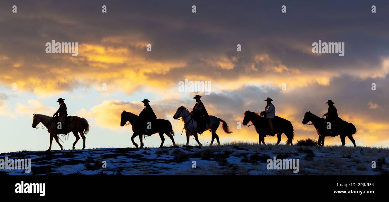 Cowboy silhouette against sunset hi-res stock photography and images ...