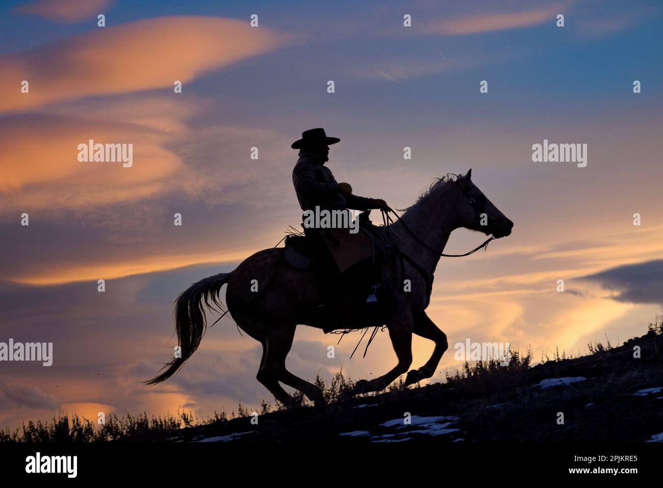 USA, Shell, Wyoming. Hideout Ranch cowboy on horseback silhouetted at ...