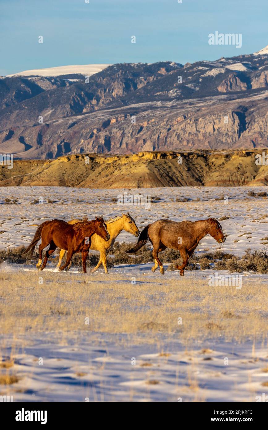 Gold hill snow hi-res stock photography and images - Alamy
