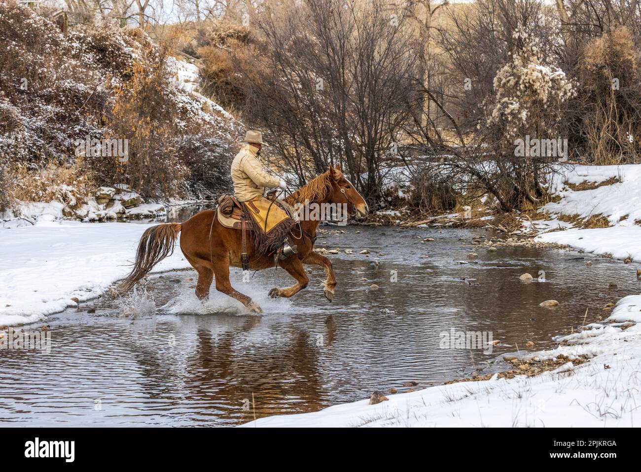 Cowboy on galloping horse hi-res stock photography and images - Alamy