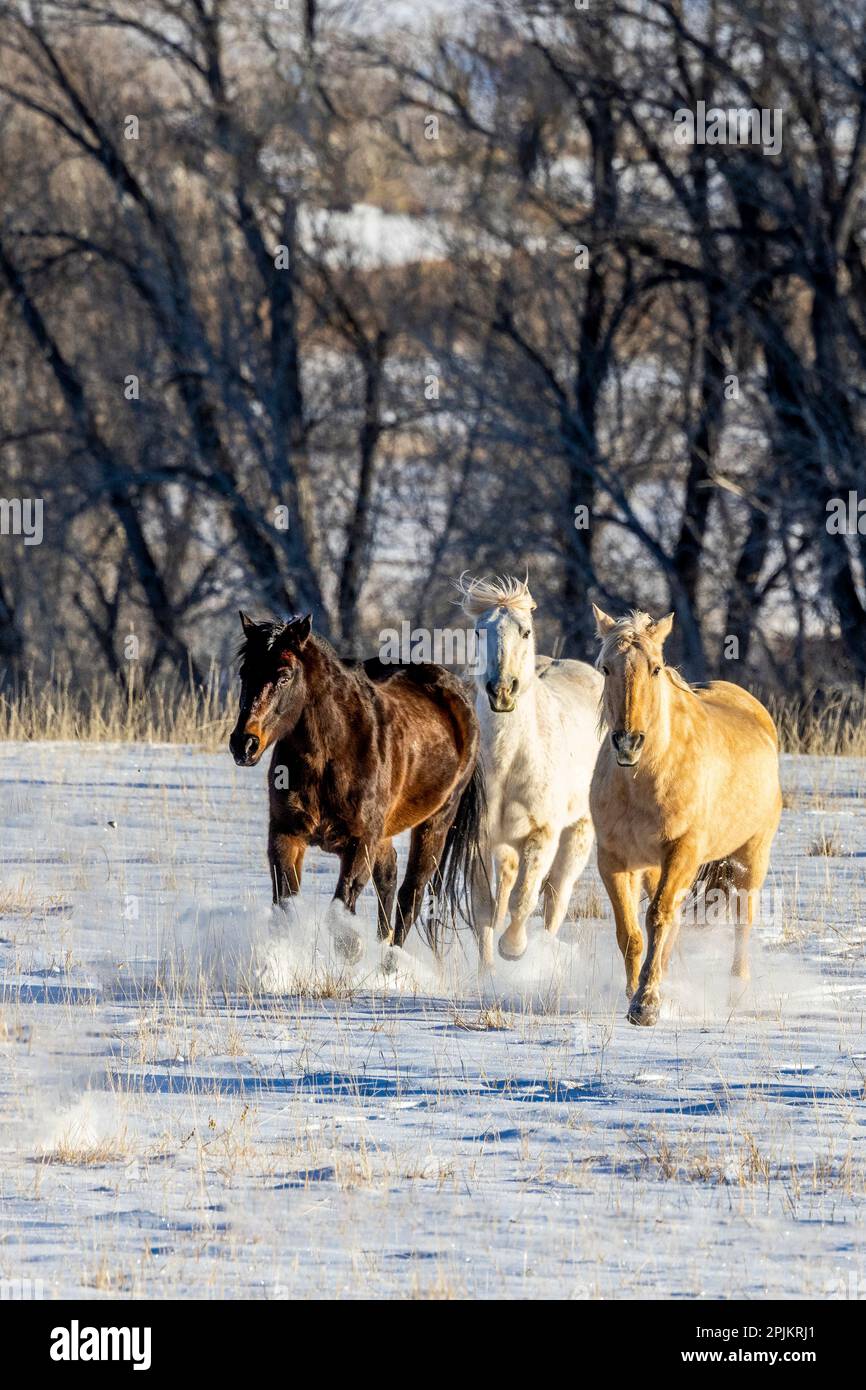 Hideout ranch hi-res stock photography and images - Alamy