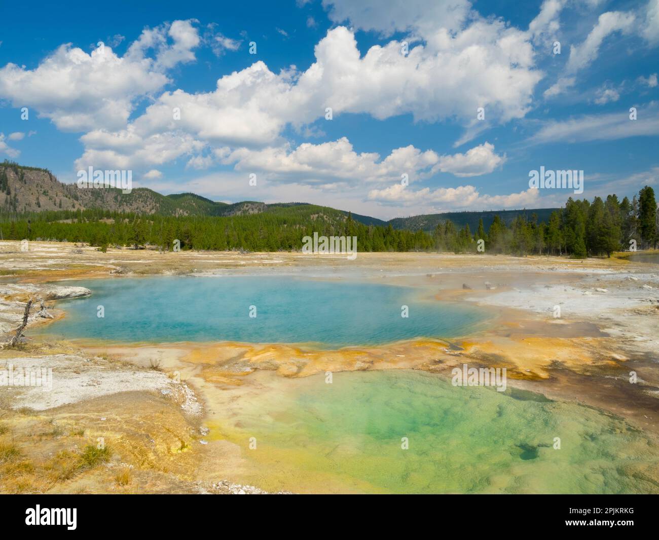 Wyoming, Yellowstone National Park. Black Opal Spring, Upper Geyser ...