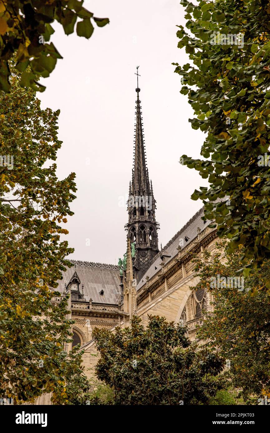 Paris. Notre-Dame de Paris Cathedral, spire. French Gothic architecture ...