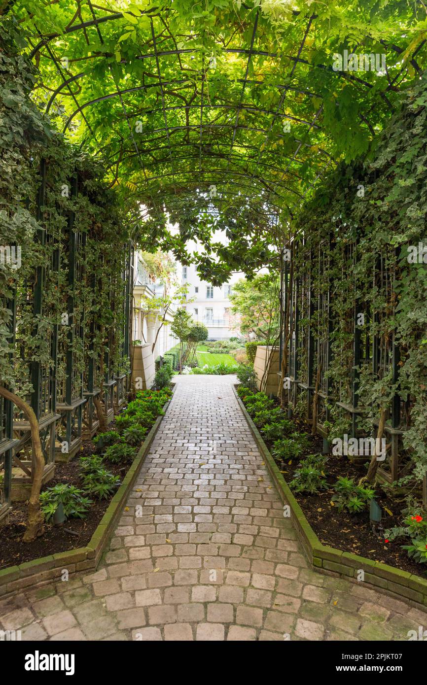 Paris. Arbor and walkway Stock Photo - Alamy