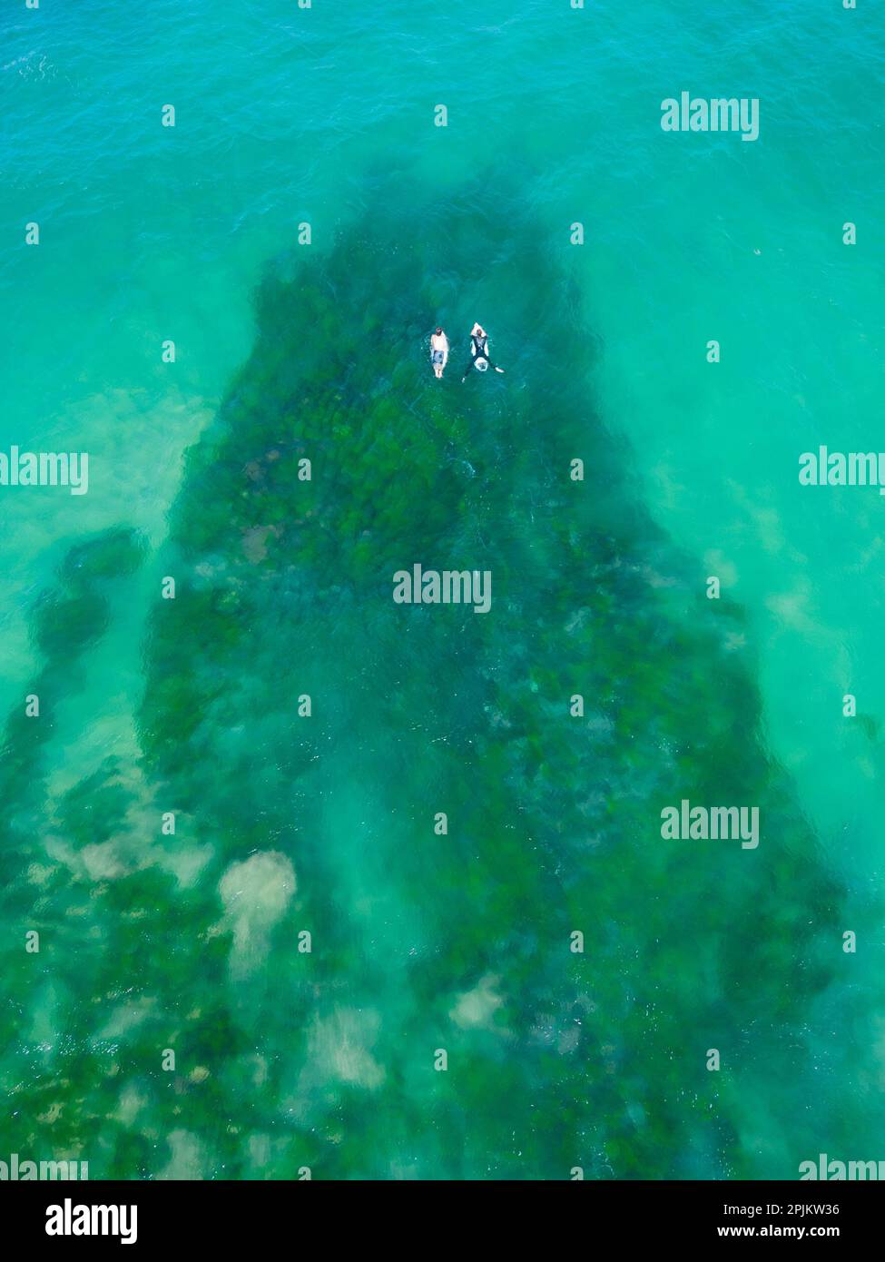 Two people swimming on their surfs in the crystal-clear waters of the ...