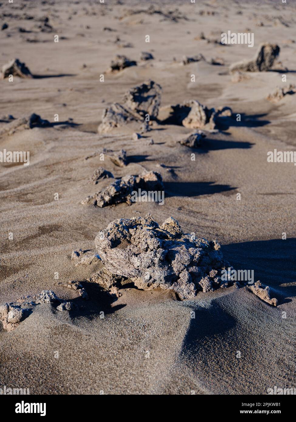 Lava, Lapilli and volcanic ashes of the Bardarbunga eruption 2014-2015 ...