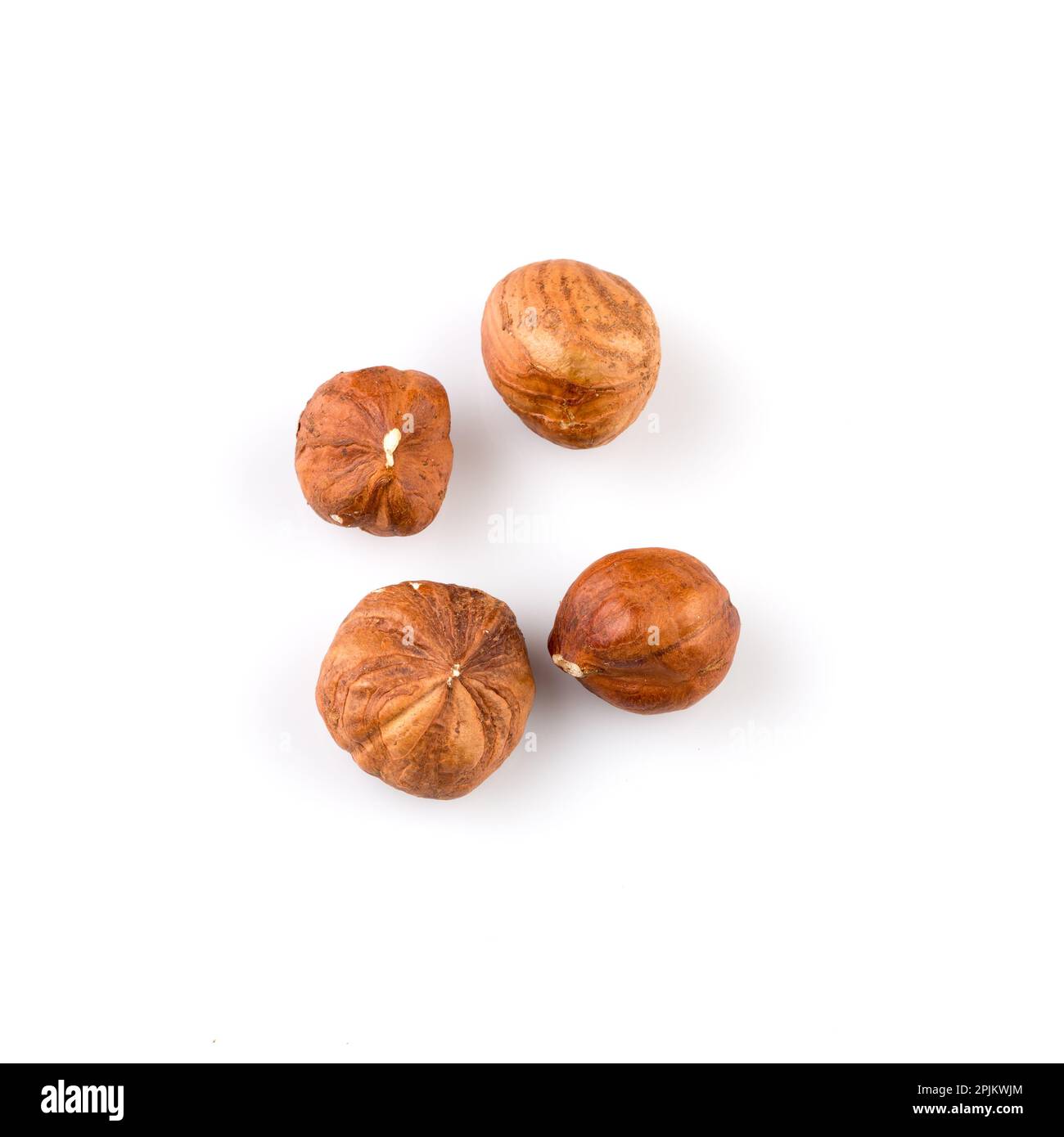 Hazelnuts nut isolated on the white background Stock Photo - Alamy