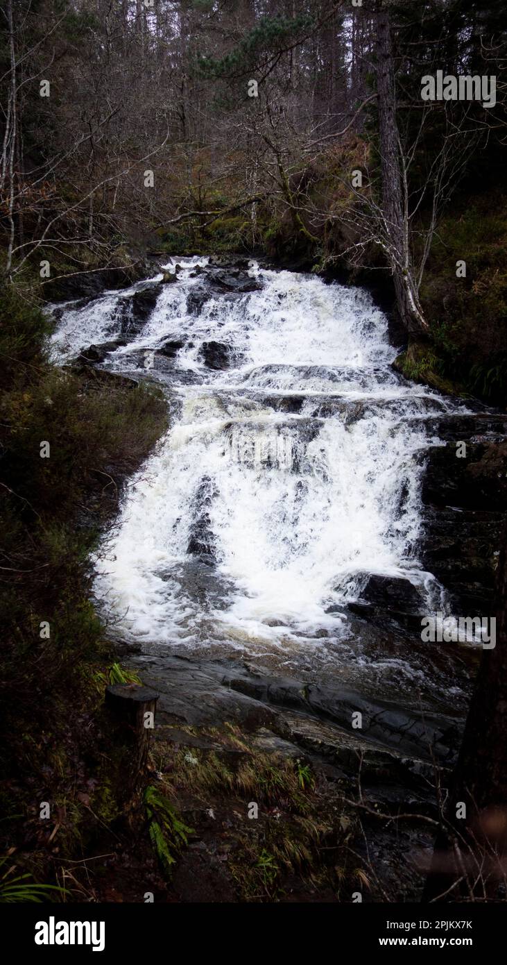 Going to the water hole hi-res stock photography and images - Alamy