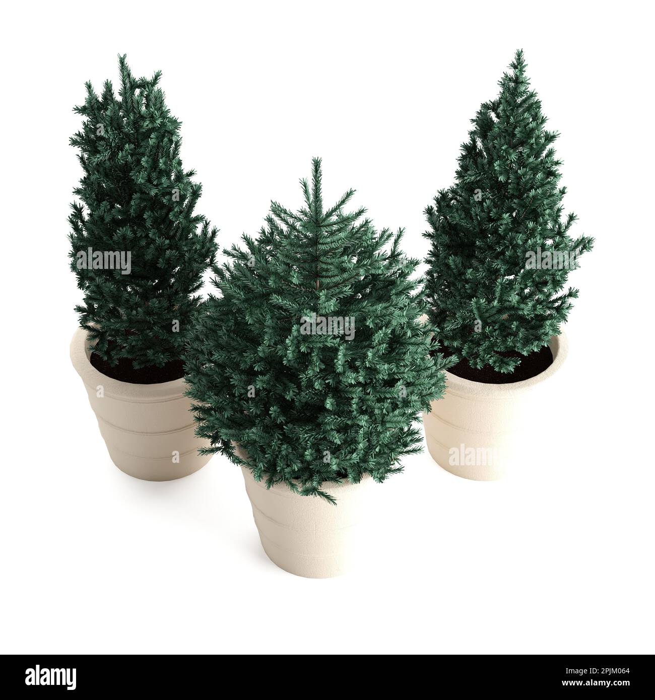 Vibrant display potted plants Cut Out Stock Images & Pictures - Alamy