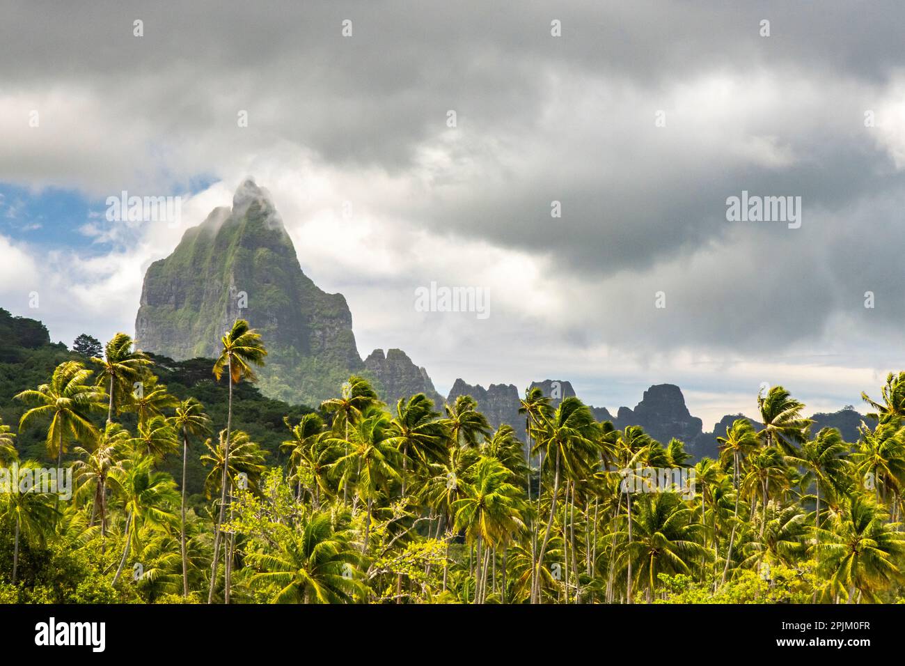 French Polynesia, Moorea. Bali Hai mountains and palm trees Stock Photo ...