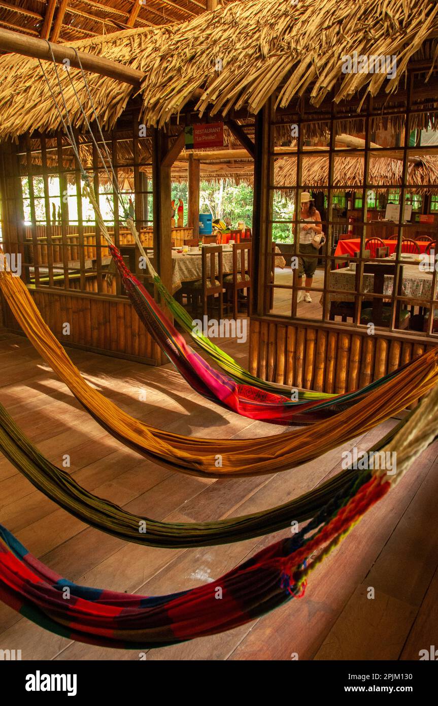 Hammocks await tourists in the Amazon Rainforest in Cuyabeno, Ecuador ...