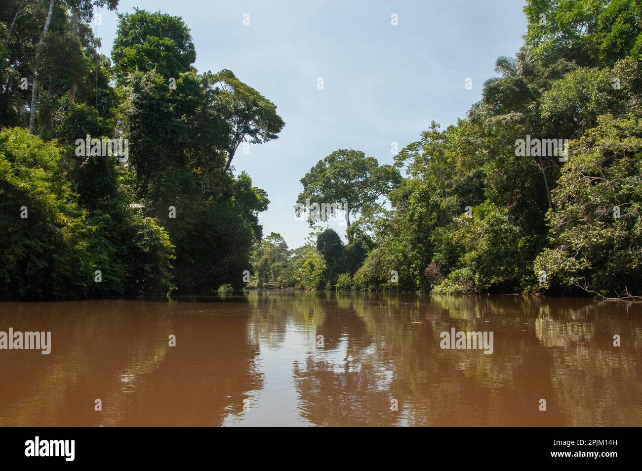The muddy Cuyabeno River winds through the heart of the great Cuyabeno ...